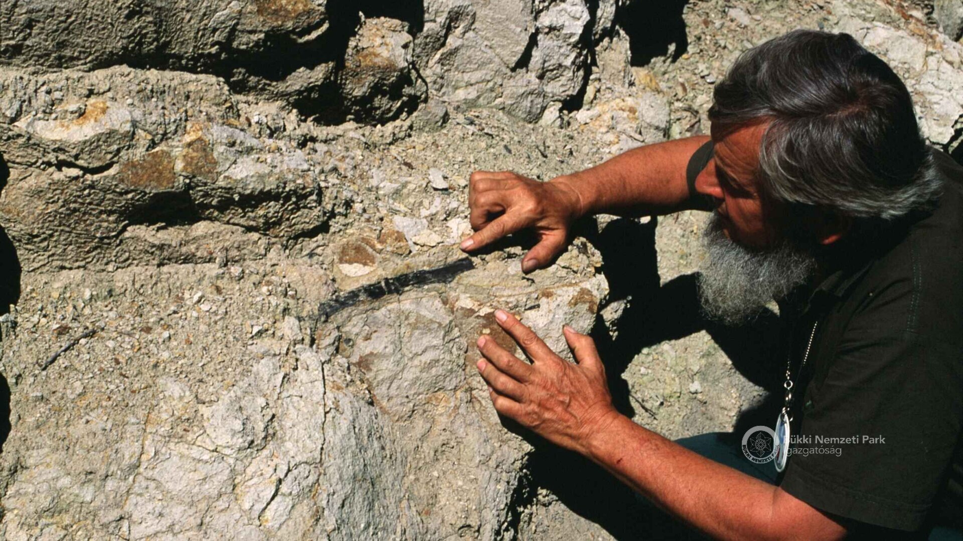 Volcano Day And Egn Week At The Ipolytarnoc Fossils Program Részletek
