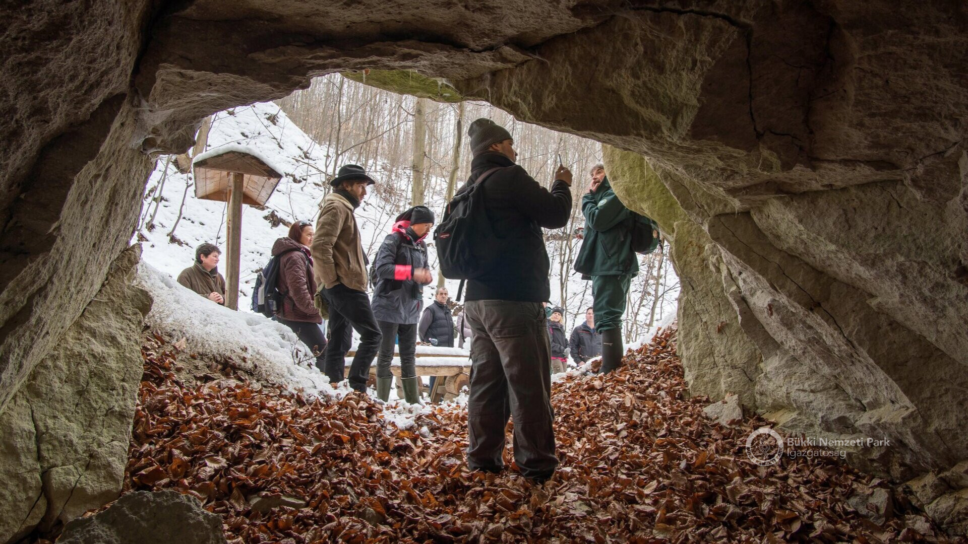 Winter tree trunk cave tour to the Miocene prehistoric world beyond ...